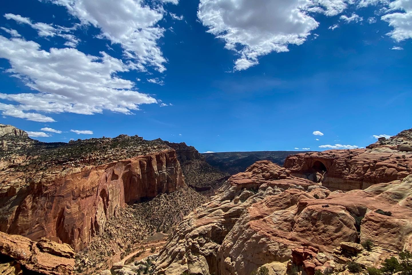 One Day in Capitol Reef: A Complete Itinerary for Visitors